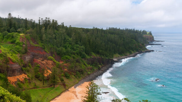 Here’s Your Ready Reckoner of Norfolk Island Self-Drive Sojourns!